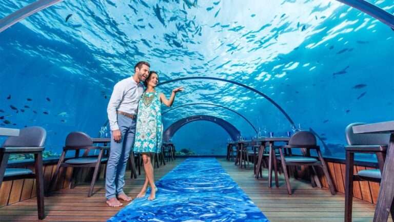 Underwater Restaurant in Maldives: Top Dining Beneath the Ocean